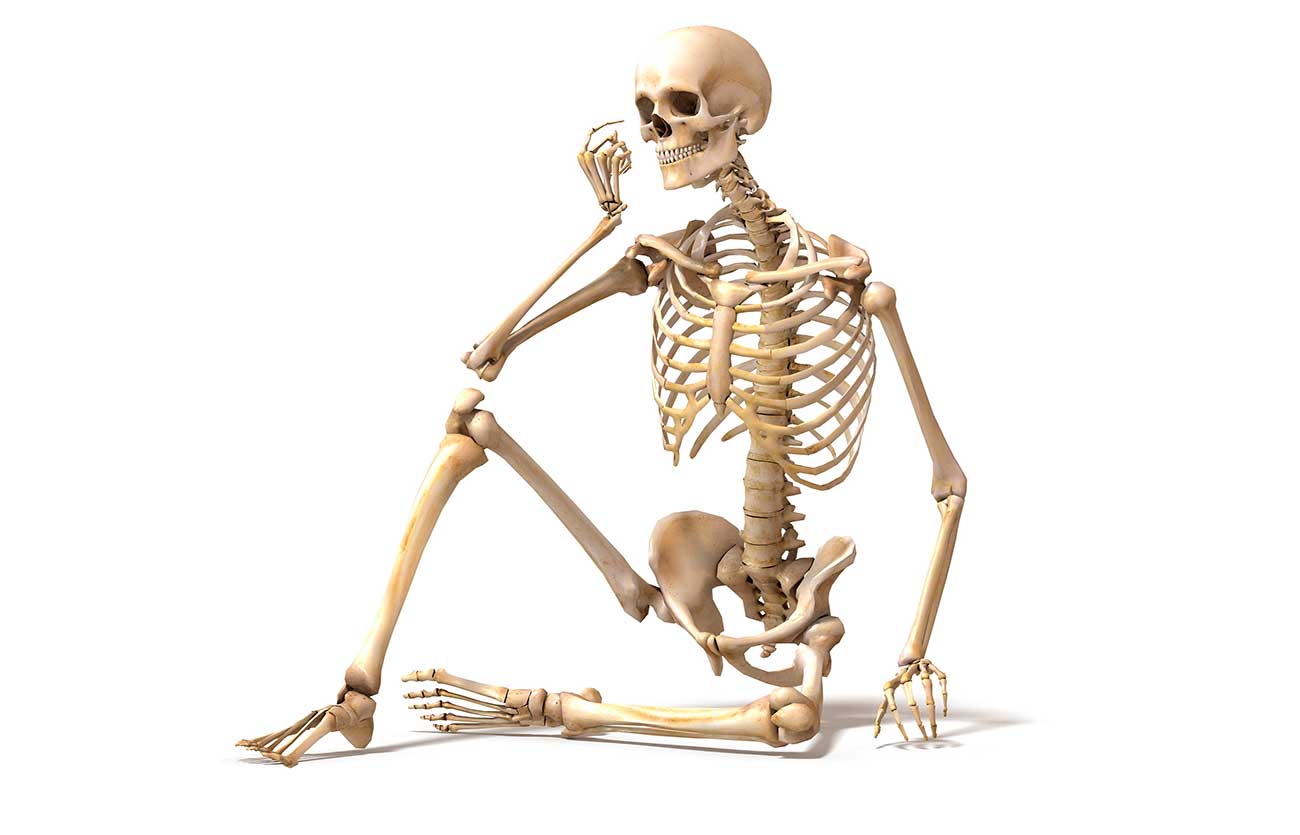 Sistema Esquelético - Mind Map