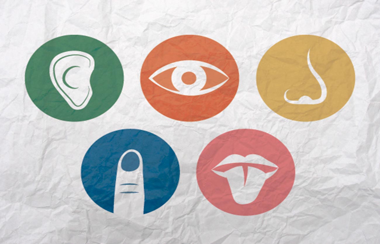 Cuál es la importancia de los sentidos – Sooluciona